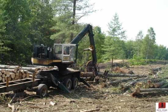 Logging Equipment For Sale