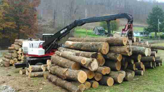 Prentice 410D Log Loader | Minnesota | Forestry Equipment Sales