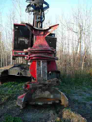 Red Pine Equipment Timbco 425 EXL Feller Buncher ***SOLD***