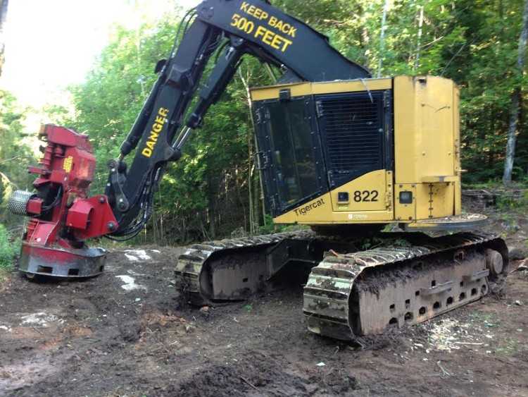 Tigercat 822 Processor with Quadco 5660 Head | Minnesota | Forestry ...