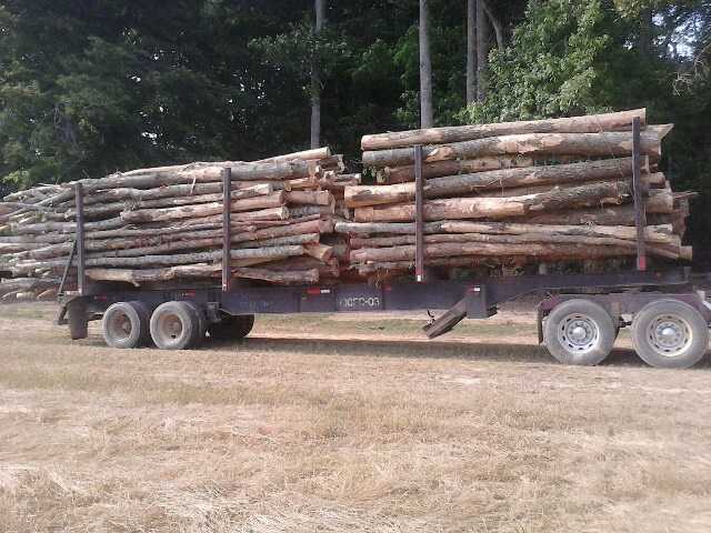 Johnson 40' Double Bunk Log Trailer | Minnesota | Forestry Equipment Sales