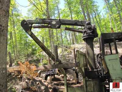 Red Pine Equipment Tree Farmer C5D Forwarder